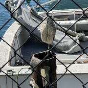 BERTH 55 FISH MARKET AND SEAFOOD DELI - 1471 Photos & 800 Reviews - 555 ...