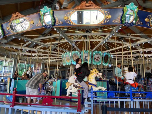 POINT DEFIANCE ZOO & AQUARIUM - Updated July 2024 - 1504 Photos & 493 ...