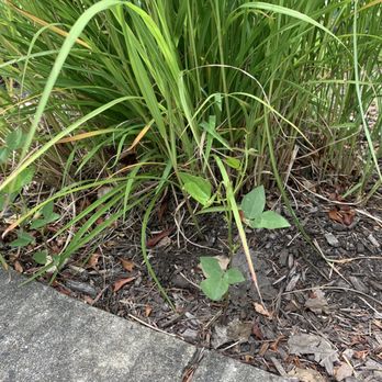 GOLF RANCH - Updated January 2026 - 34 Photos & 24 Reviews - 1 Sand Cut ...