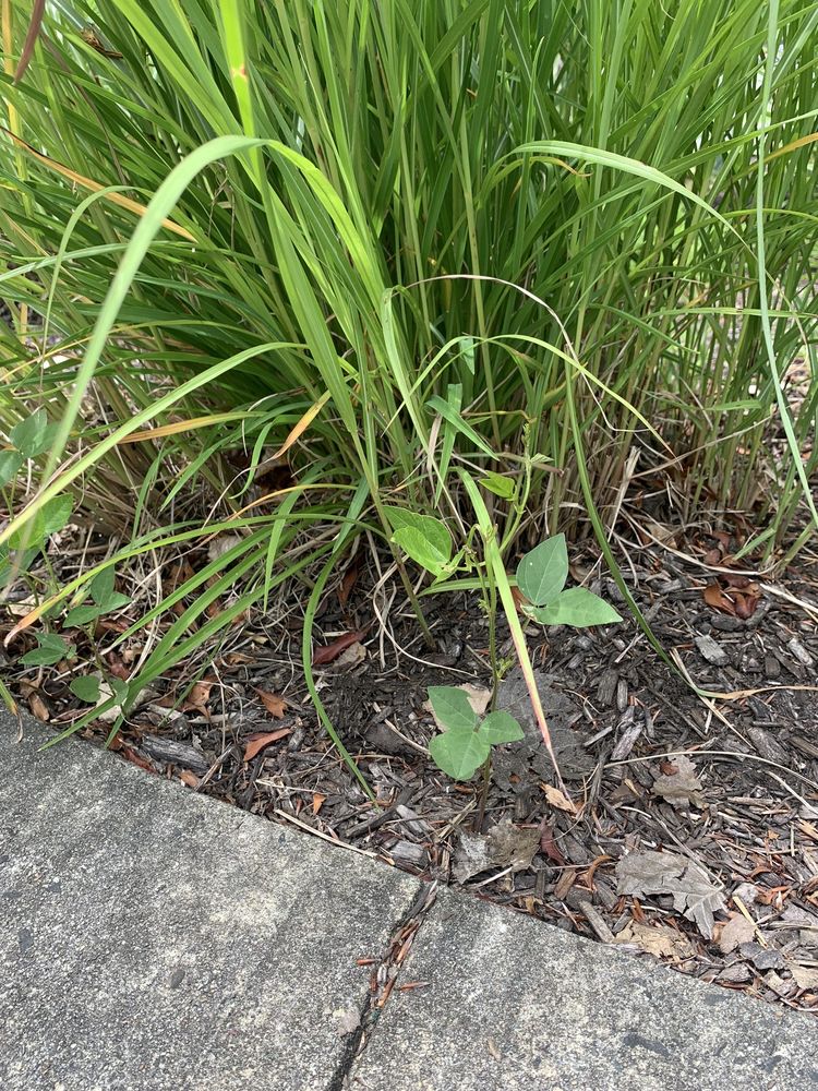 GOLF RANCH - Updated July 2024 - 17 Photos & 16 Reviews - 1 Sand Cut Rd ...