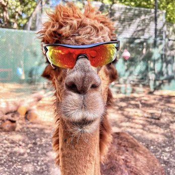 INDIAN SPRINGS RANCH - Updated July 2025 - 43 Photos & 10 Reviews - 403 ...