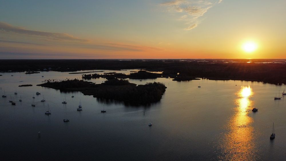 MANATEES IN PARADISE - Updated November 2024 - 18 Photos & 22 Reviews ...