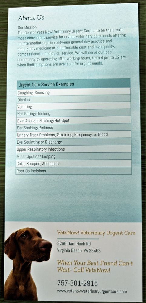 VETS NOW VETERINARY URGENT CARE - Updated July 2025 - 3296 Dam Neck Rd ...