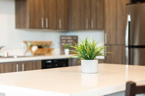 THE POST ON NORD - Updated April 2026 - 49 Photos - 1200 Nord Ave ...