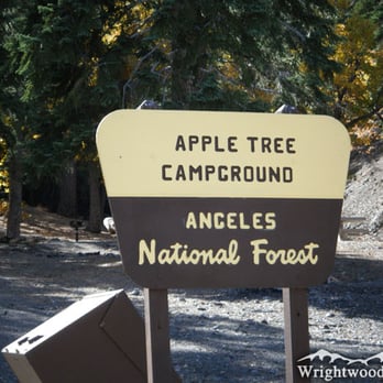 APPLE TREE CAMPGROUND - Updated December 2025 - 22 Photos - Wrightwood ...