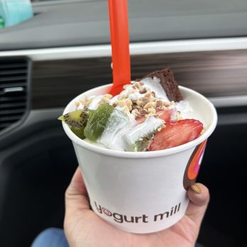 YOGURT MILL - Updated December 2025 - 102 Photos & 114 Reviews - 3900 ...