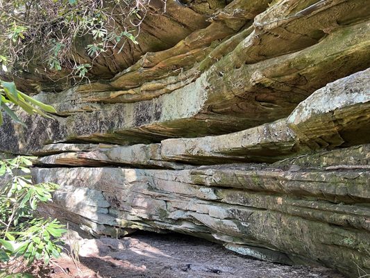 COLDITZ COVE NATURE AREA - Updated October 2025 - 130 Photos & 12 ...