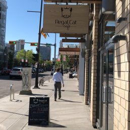 REGAL CAT CAFE - Updated January 2026 - 148 Photos & 44 Reviews - 303 ...