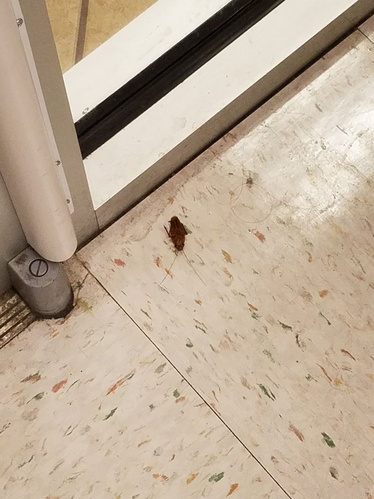 LADYBIRD ACADEMY - Updated October 2025 - 11 Reviews - 10485 Moss Park ...