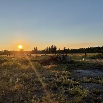 WATER WHEEL CAMPGROUND - Updated September 2025 - 56 Photos & 36 ...