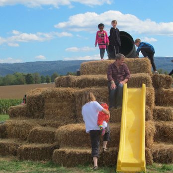 WAYSIDE FARM FUN - Updated January 2026 - 61 Photos & 21 Reviews - 5273 ...