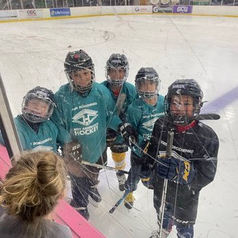 ICE DEN CHANDLER - Updated December 2024 - 50 Photos & 60 Reviews ...