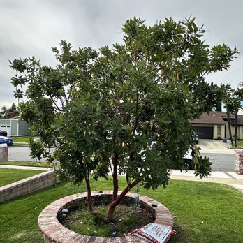 MOON VALLEY NURSERIES - Updated December 2025 - 321 Photos & 269 ...