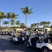 THE ROOKERY AT MARCO - 27 Photos - 3433 Club Center Blvd, Naples ...