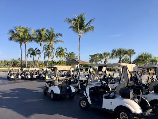 THE ROOKERY AT MARCO - Updated July 2025 - 31 Photos - 3433 Club Center ...