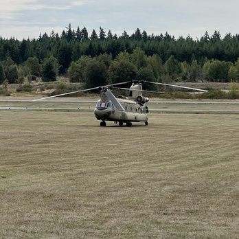 SPRUCE GOOSE CAFE - Updated May 2024 - 122 Photos & 159 Reviews - 310 ...