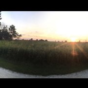 SPRINGBROOK PRAIRIE FOREST PRESERVE - 121 Photos & 34 Reviews - 83RD ...