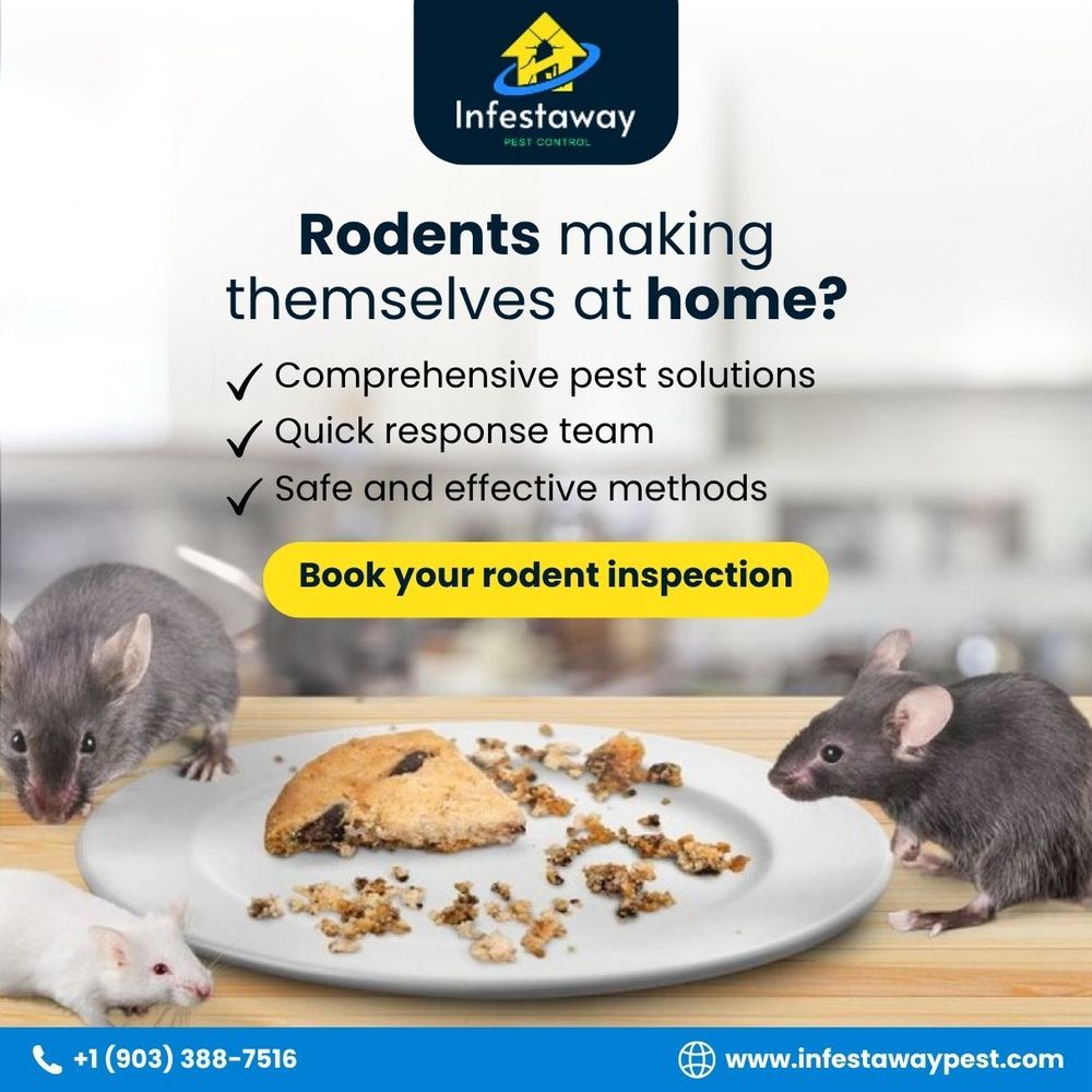 INFESTAWAY PEST CONTROL - Updated April 2026 - 17 Photos - 1476 An ...