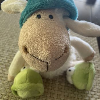 THE SLEEP SHOPPE - Updated October 2025 - 26 Photos & 107 Reviews ...