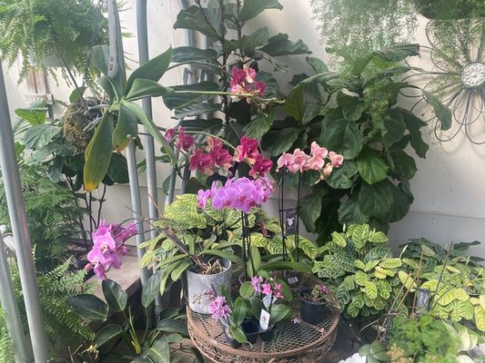 SPRING FARM GREENHOUSE - Updated January 2026 - 22 Photos - 2190 ...