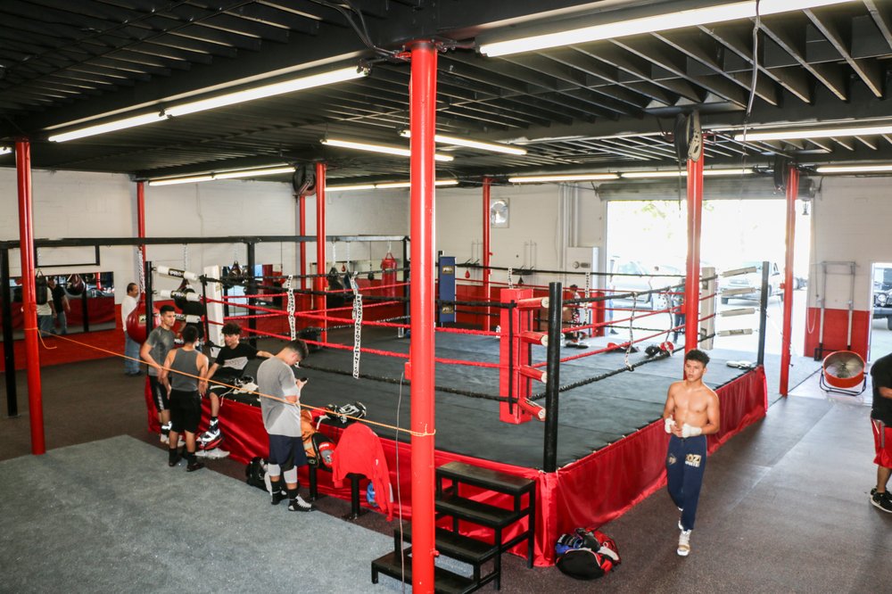 KNOCKOUTS BOXING FACILITY - Updated December 2025 - 20 Photos - 9201 ...