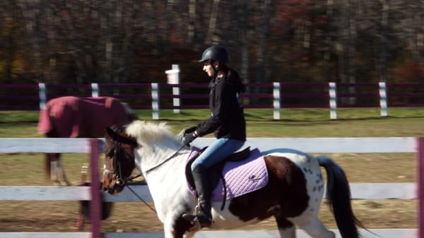 EDINGER FARM - Updated July 2025 - 18 Photos - 42 Fairfield St ...