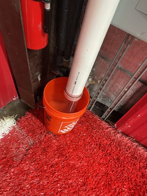 ABSOLUTE RECOMP - Updated July 2025 - 34 Photos & 24 Reviews - 6428 ...