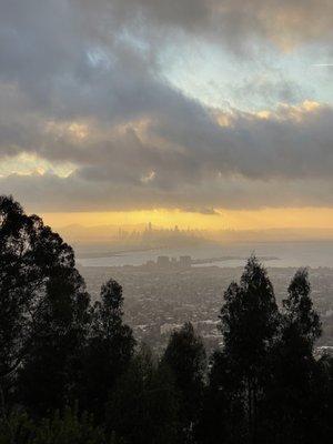 BERKELEY FIRE TRAILS - 382 Photos & 105 Reviews - Centennial Dr ...