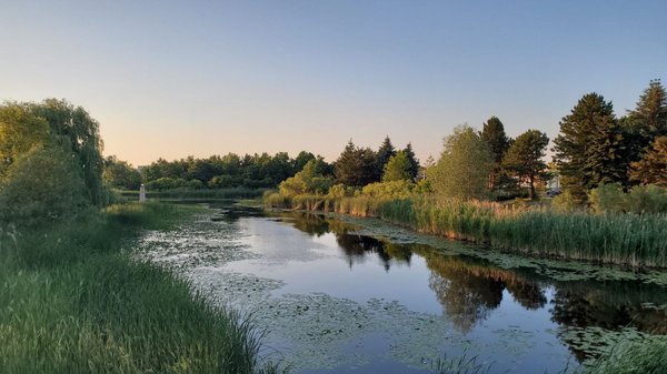 RICHMOND GREEN SPORTS CENTRE AND PARK - Updated August 2025 - 132 ...