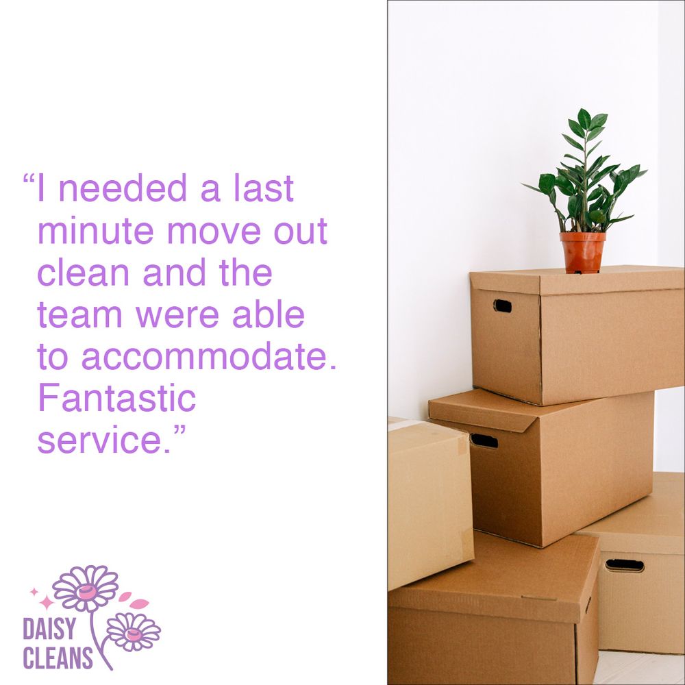 DAISY CLEANS - Updated May 2024 - Request a Quote - Calgary, Alberta ...