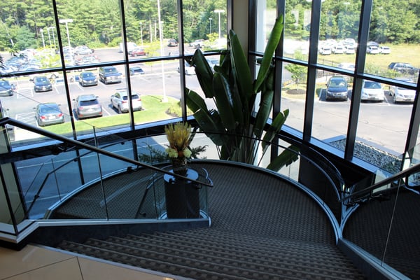 HERB CHAMBERS LEXUS OF SHARON - Updated June 2026 - 49 Photos & 246 ...