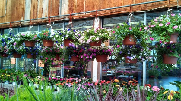 Gales Garden Center Willoughby Hillsnull
