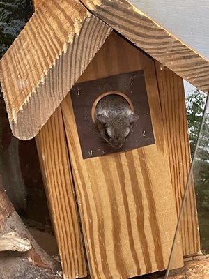 NEUSEWAY NATURE PARK - Updated May 2026 - 28 Photos - 401 W Caswell St ...