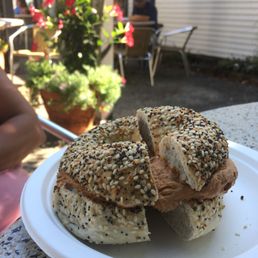 CAPE COD BAGEL CAFE - Updated December 2025 - 73 Photos & 198 Reviews ...