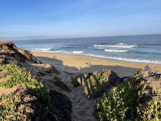 FORT ORD DUNES STATE PARK - Updated August 2025 - 293 Photos & 46 ...