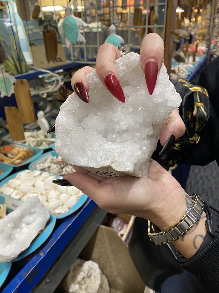 CALIFORNIA SEASHELL COMPANY - 75 Photos & 83 Reviews - 125 Main St ...