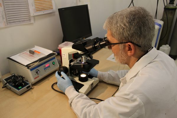 SIMPLE LABORATORIES - Updated December 2025 - 15 Photos - 5960 N ...