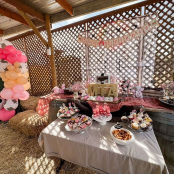 THE DINGLE FAMILY FARM AND STABLES - Updated November 2025 - 555 Photos ...