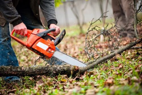 ANDERSON TREE SERVICE - Updated March 2025 - 38 Photos - 1110 S Main St ...