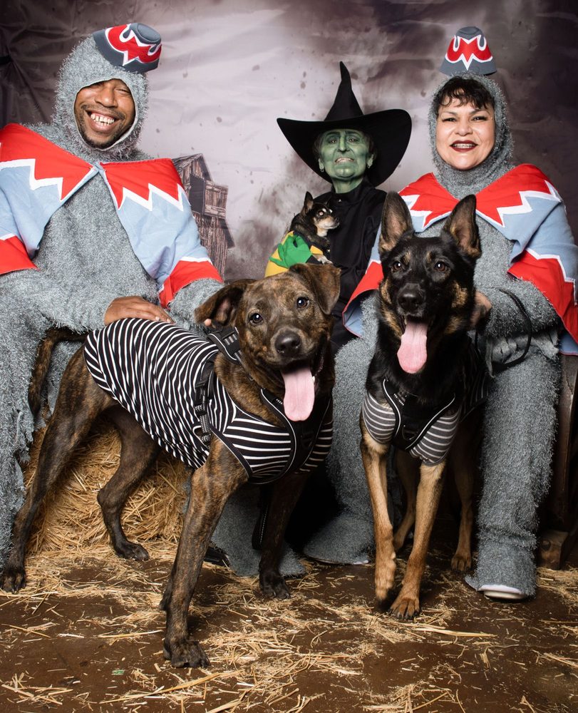 FOSTER ARMY ANIMAL RESCUE - Updated December 2025 - 83 Photos & 73 ...