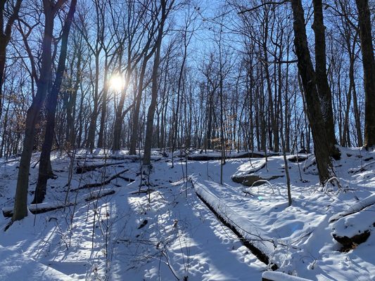 CHESTNUT RIDGE METRO PARK - Updated December 2024 - 69 Photos & 24 ...