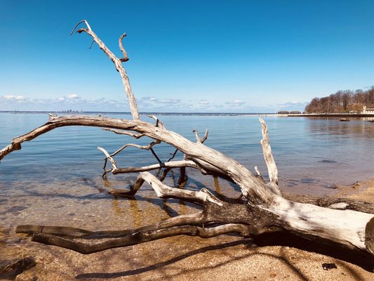GARVIES POINT MUSEUM & PRESERVE - Updated March 2025 - 83 Photos & 16 ...