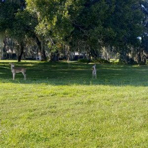 COUNTRYWAY GOLF CLUB - Updated August 2025 - 36 Photos & 27 Reviews ...