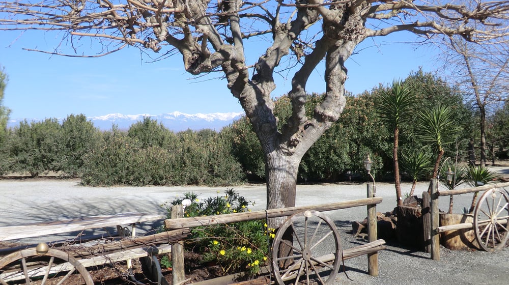 4 K BAR RANCH - Updated December 2025 - 10 Photos - 18850 Ave 300 ...