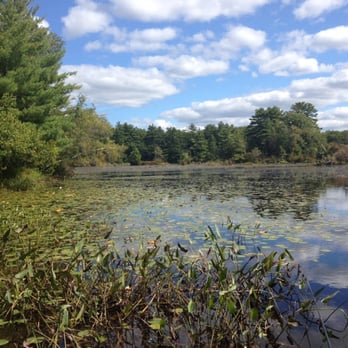 HAROLD PARKER STATE FOREST - Updated December 2025 - 75 Photos & 40 ...