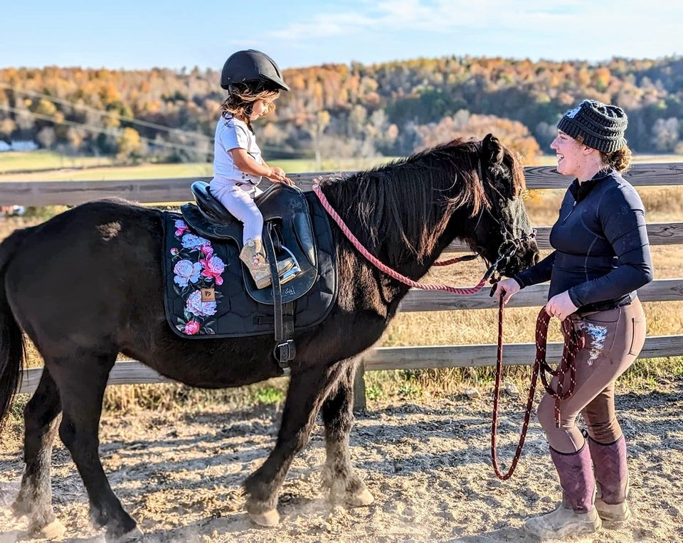 SOMETHING WILD RIDING SCHOOL - Updated July 2025 - 2300 Little Blue ...