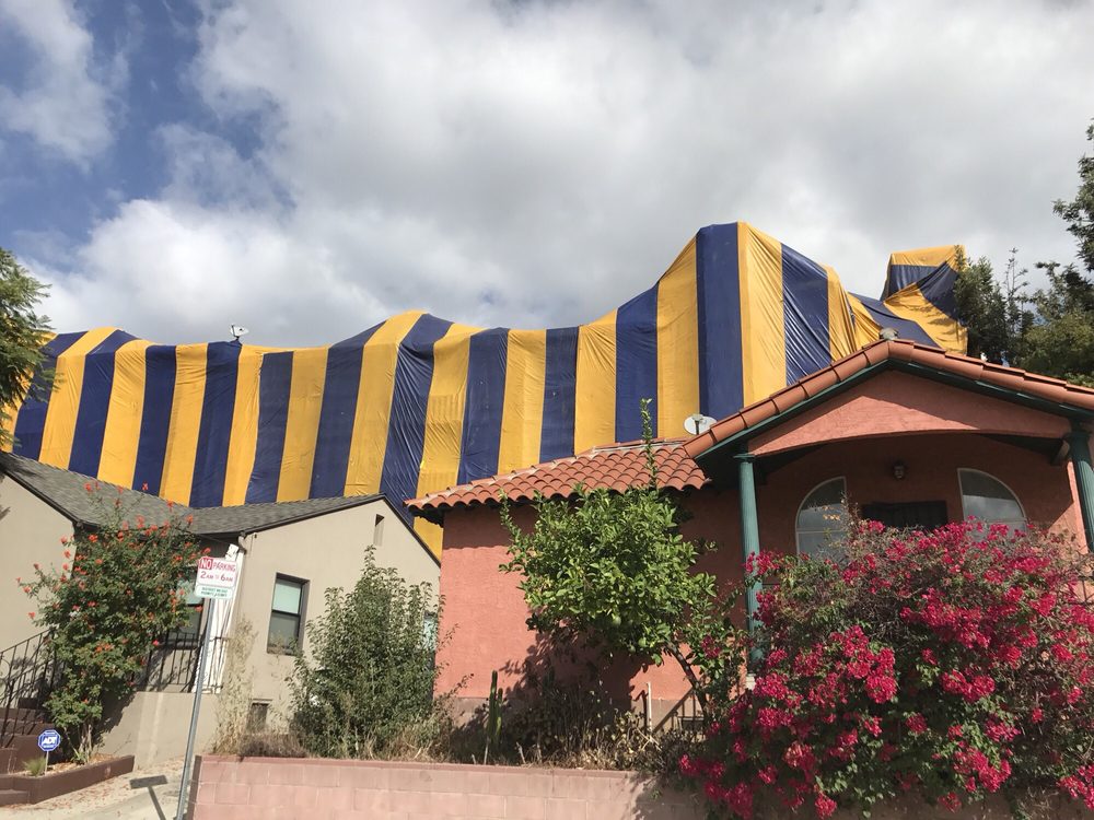 HIGGINS TERMITE - Updated December 2025 - 33 Reviews - 8630 Lankershim ...