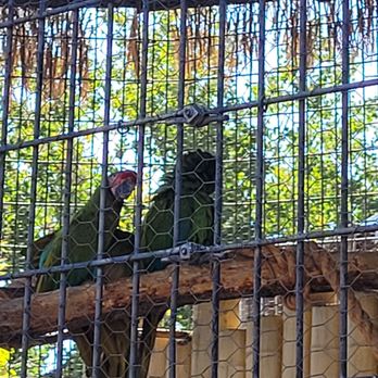 ABQ BIOPARK ZOO - Updated March 2025 - 876 Photos & 268 Reviews - 903 ...