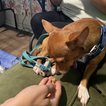 MERCY FULL PROJECT - Updated December 2025 - 31 Photos & 27 Reviews ...