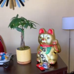 NEW HOPE SPA - Updated May 2025 - 3128 N Lincoln, Chicago, Illinois ...